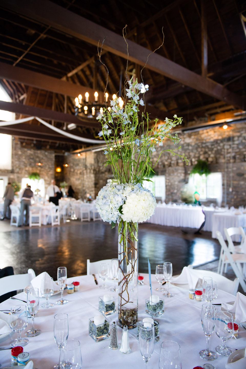 northern michigan wedding photographers, engagements, portraits