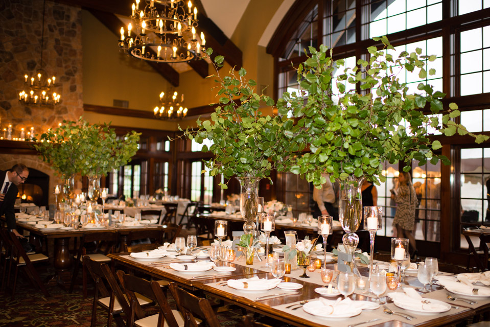 northern michigan wedding photographers, engagements, portraits