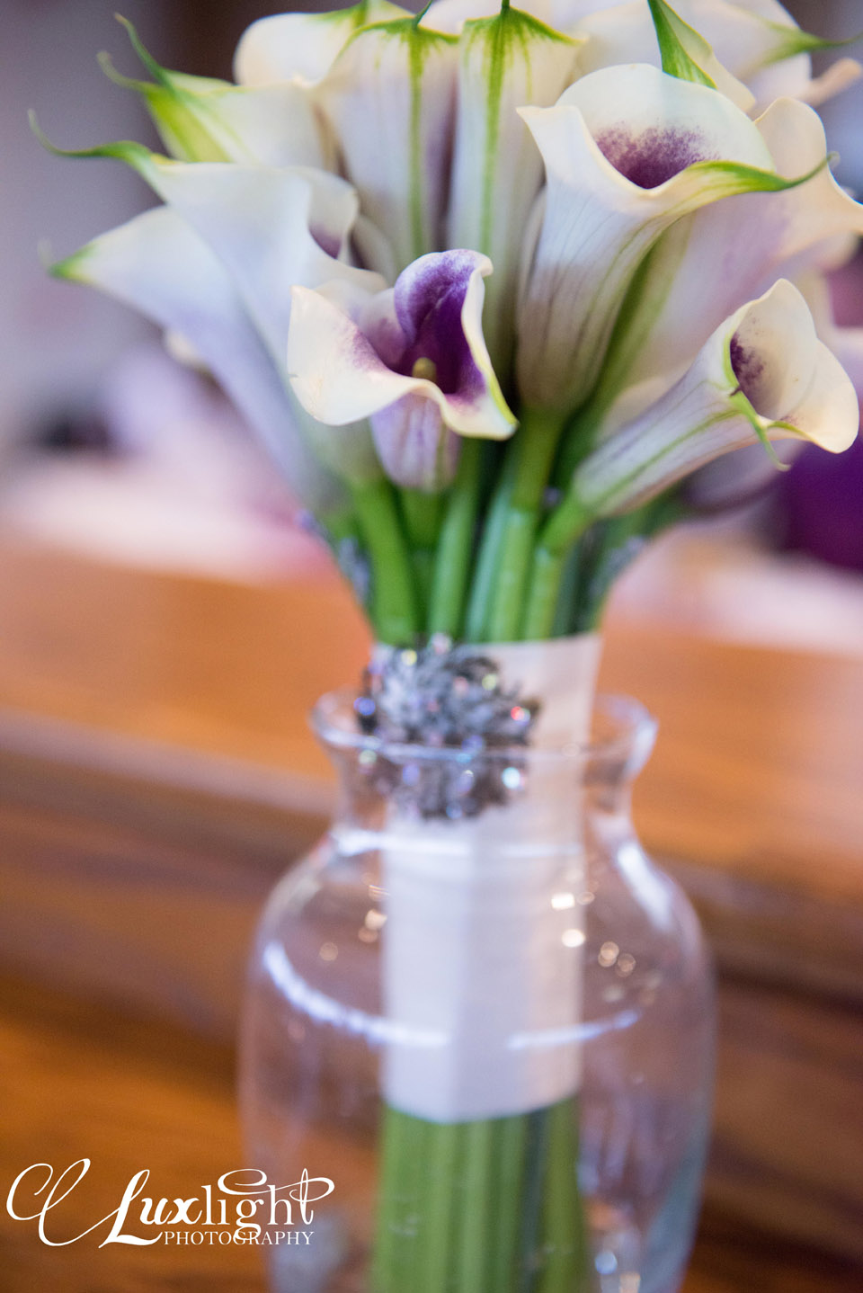 northern michigan wedding photographers, engagements, portraits